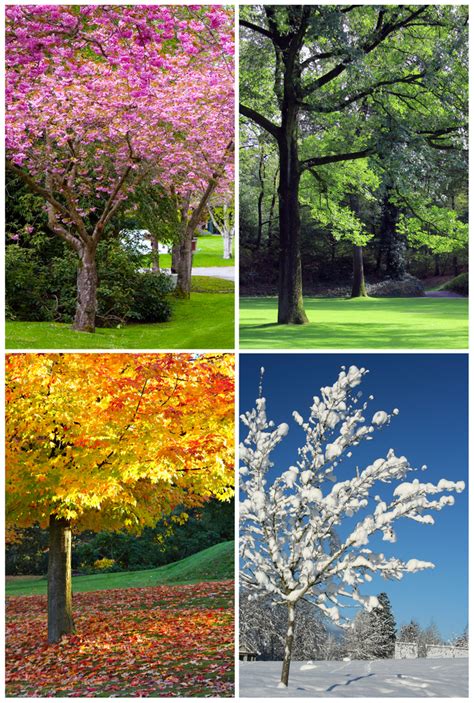 Why We Call The Seasons Summer Autumn Winter And Spring