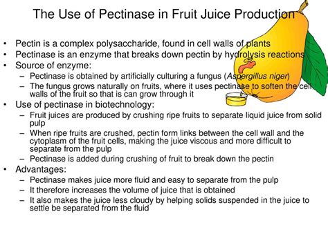 Fruit Juice Enzyme Pectinase At Russell Hixson Blog