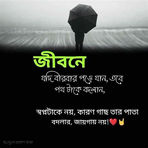 জীবনে যদি বারবার পড়ে যান তবে পথটাকে বদলান।fypシ Fbreels Fbreelsvideo