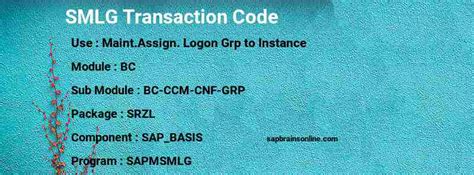 Smlg Sap Tcode For Maint Assign Logon Grp To Instance