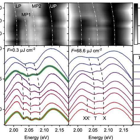 Temperature Dependent Coupling States A Contour Plots Of The Rc Spectra Temperature Dependent Coupling States A Contour Plots Of The Rc Spectra