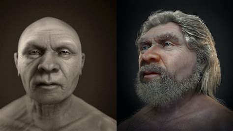 Neanderthal Face Reconstruction
