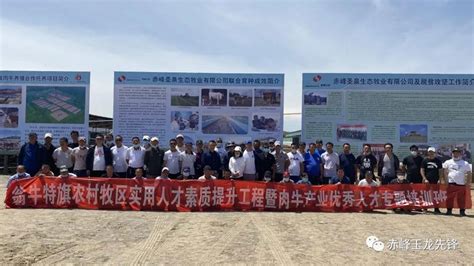 五化协同赤峰行动｜翁旗千名人才下基层助力打赢脱贫攻坚“收官战”