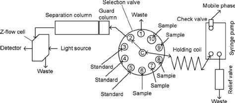 Schematic Diagram Of Sequential Injection Chromatograph Constructed For Download Scientific
