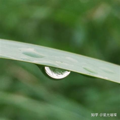 高考失利，你会怎么样 知乎