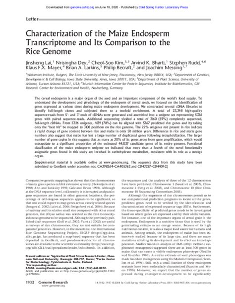 Pdf Characterization Of The Maize Endosperm Transcriptome And Its Comparison To The Rice Genome