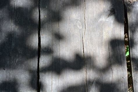 Antiguas Tablas De Madera Natural Con Interesantes Motivos Iluminados