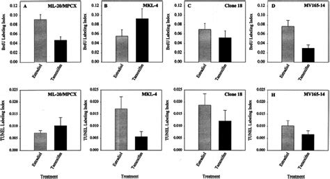 Identification Of An In Situ Marker For Future Tumor Growth Mean Brdu