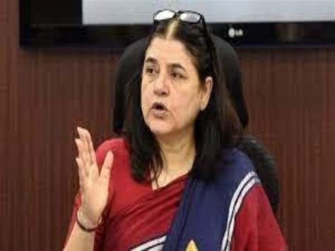 Loksabha Elections 2024 Up Sultanpur Maneka Gandhi On Varun Gandhi