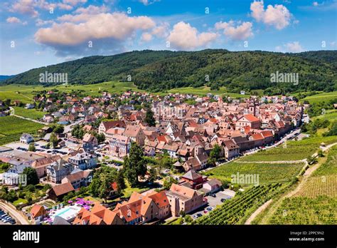 View Of Riquewihr Village And Vineyards On Alsatian Wine Route France