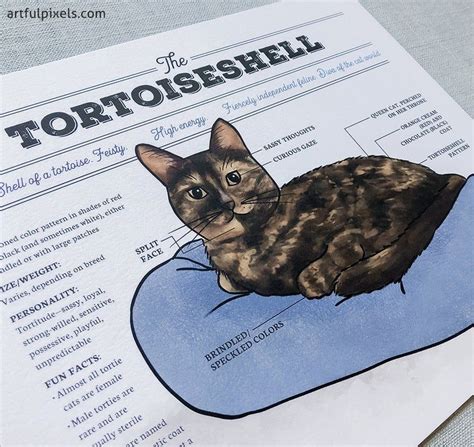 Tortoiseshell Cat Art Tortie Cat Poster Cat Breed Artwork Funny T