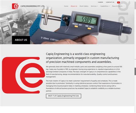 Website Design Case Study Capiq Engineering Private Limited Megh