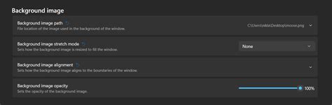 Background Image Customisation Themes Area Not Ok Issue 1041