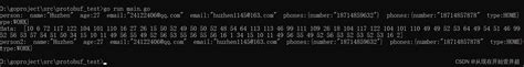Windows下go安装并使用protobufwindows Protoc Csdn博客