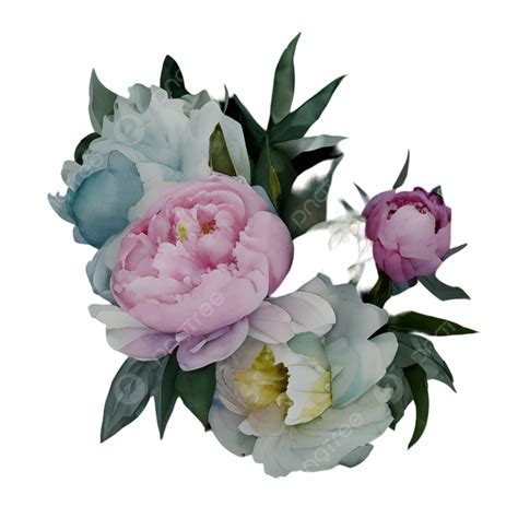 부드러운 효과의 매혹적인 모란 꽃다발 확대 꽃잎 수채화 모란 Png 일러스트 및 Psd 이미지 무료 다운로드 Pngtree