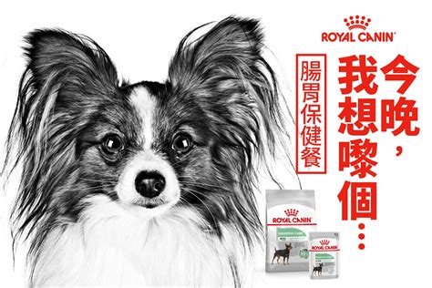 Royal Canin Hk 【今晚我想嚟個腸胃保健餐】 平時總係消化不良😵 今晚，就嚟啲唔一樣嘅～
