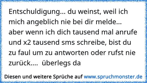 Entschuldigung Du Weinst Weil Ich Mich Angeblich Nie Bei Dir Melde
