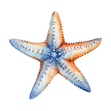 Starfish Watercolor Sea Animals Watercolor Painting Generative Ai