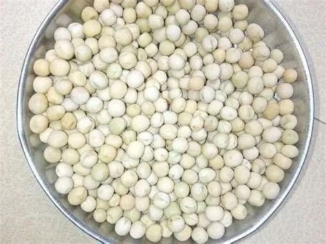 Indian Own Safed Matar At Rs 56kilogram In Aligarh Id 20975547455
