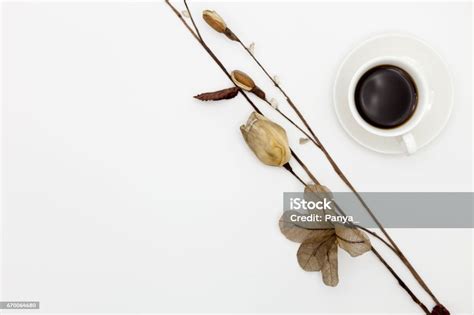 백서 배경에 종이 꽃이 있는 커피 컵 0명에 대한 스톡 사진 및 기타 이미지 0명 공란 디자인 Istock