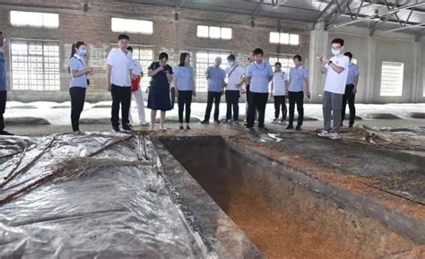 河北农大全面携手巨力集团，刘伶醉成产学研深度融合 生力军” 知乎