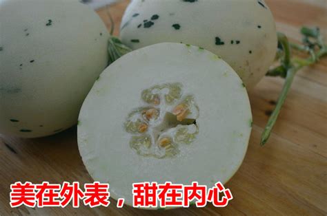 歌手小甜瓜个人简介 小甜瓜个人简介 小甜瓜个人简介原名 大山谷图库