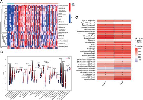Identification And Validation Of Signature Genes And Potential Therapy
