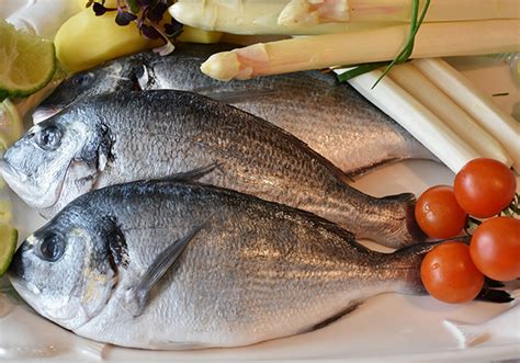 吃對魚，孩子好聰明 健康遠見