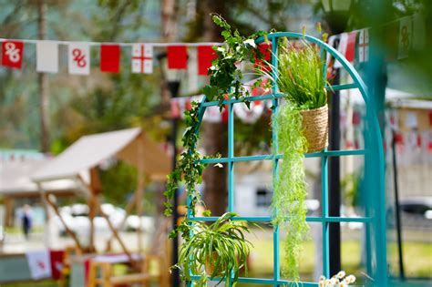 დევნილთა 26 მაისი საქართველოს დამოუკიდებლობის დღეა ეროვნული დღესასწაული რომელიც სახელმწიფო