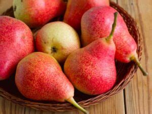 17 Types Of Pears Different Varieties Insanely Good
