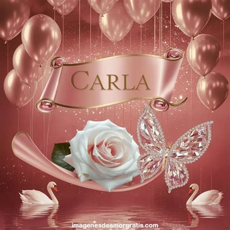 Imagenes Nombres Globos Cisnes Mariposa 7