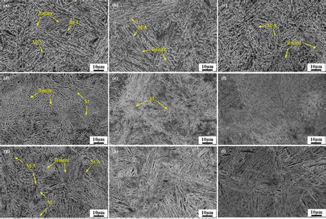 Sem Micrographs Of Different Initial Microstructures Obtained By