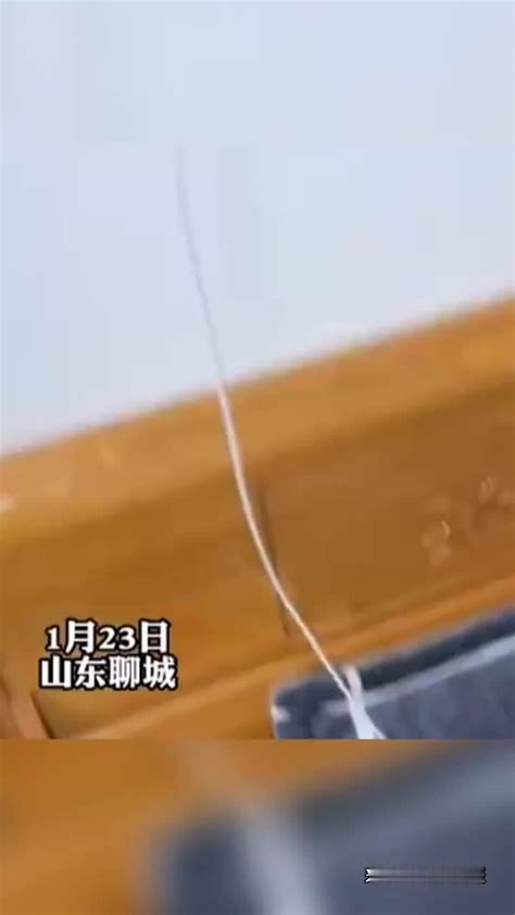 大年初二男子拔掉充电器离家，网友：这是离家的全国统一仪式凤凰网视频凤凰网