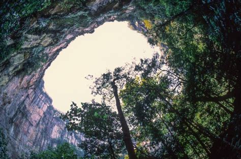 Giant Sinkhole In China Reveals An Undisturbed Ancient Forest