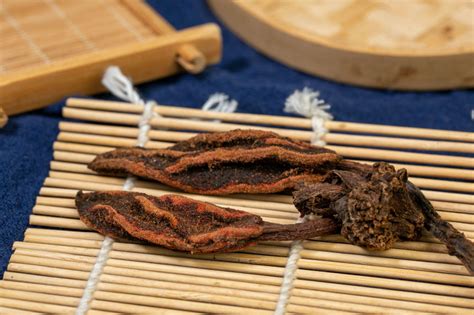 中药材回春草高清图片 中药材素材图片 中药材大全 高清图片素材