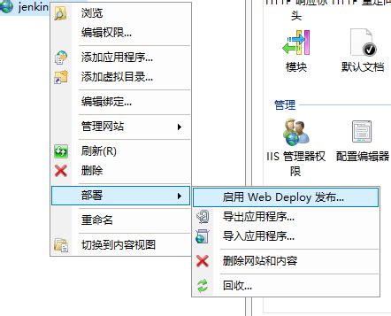 Jenkins 流水线远程部署 NET Core Framework 到 IIS 董川民