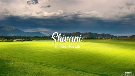 Shivani Name Wallpapers In 3d Wallpaper Cave