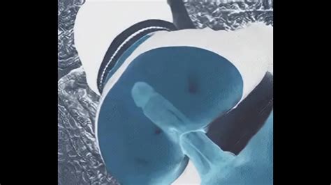 X Ray Ish Sex Hottandandand Xnxx Com
