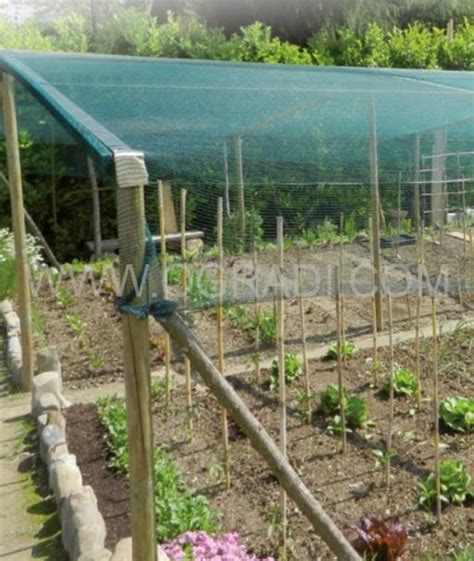 Defender против градушка Росима