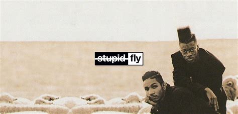 Stupid Fly