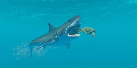 Stranded Deep Where To Find And How To Use The Pipi Plant