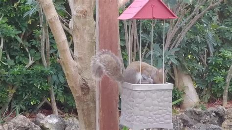 온가족이 함께 아침식사를 Youtube