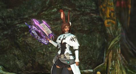 Feathered Healer Eorzea Collection