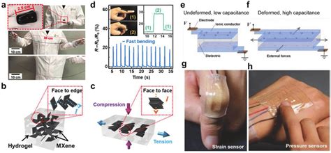 A Photographs Demonstrating The Stretchability Of Mxene Hydrogel Bc Download Scientific
