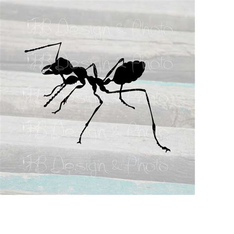 Ant Vector Raster SVG PNG Inspire Uplift