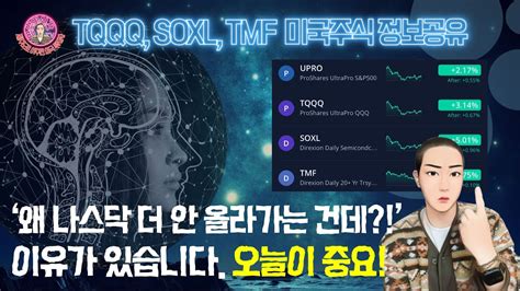‘왜 나스닥 더 안 올라가는 건데 이유가 있습니다 오늘이 중요 Tqqq Soxl Tmf 미국주식 정보공유