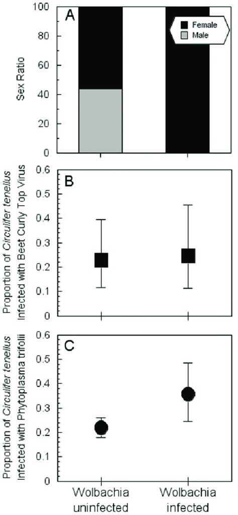 Sex Ratio Of Wolbachia Infected And Uninfected Ci Tenellus A