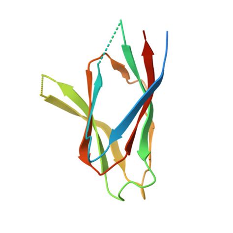 Rcsb Pdb 1k5j The Crystal Structure Of Nucleoplasmin Core