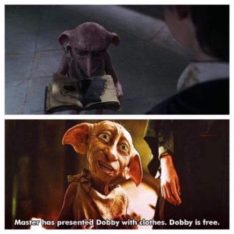 Master Has Given Dobby Clothes