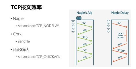 HTTP性能极限优化